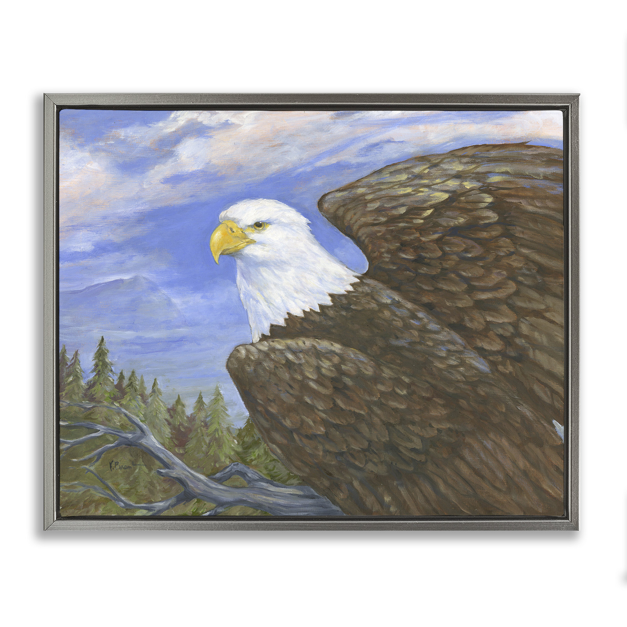 Latitude Run® Eagle Overlook from Tree Top Floating Frame, design by ...
