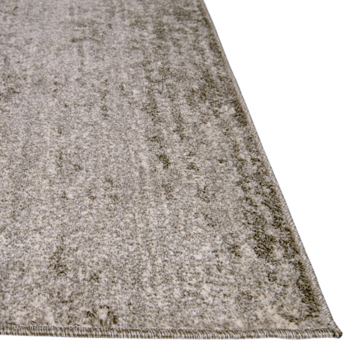 Wade Logan® Croslin Performance Gray Rug & Reviews | Wayfair
