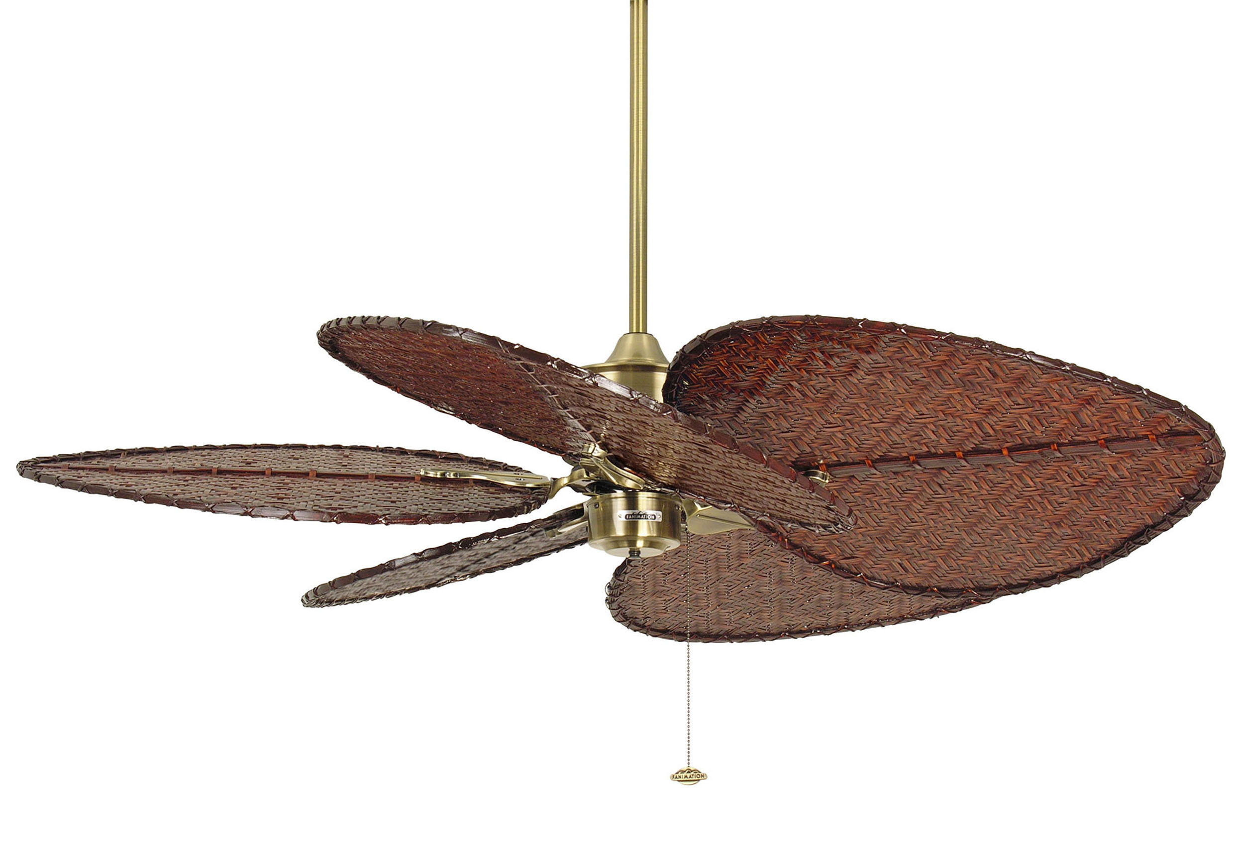 Fanimation 52" Islander 5 - Blade Leaf Blade Ceiling Fan with Pull ...