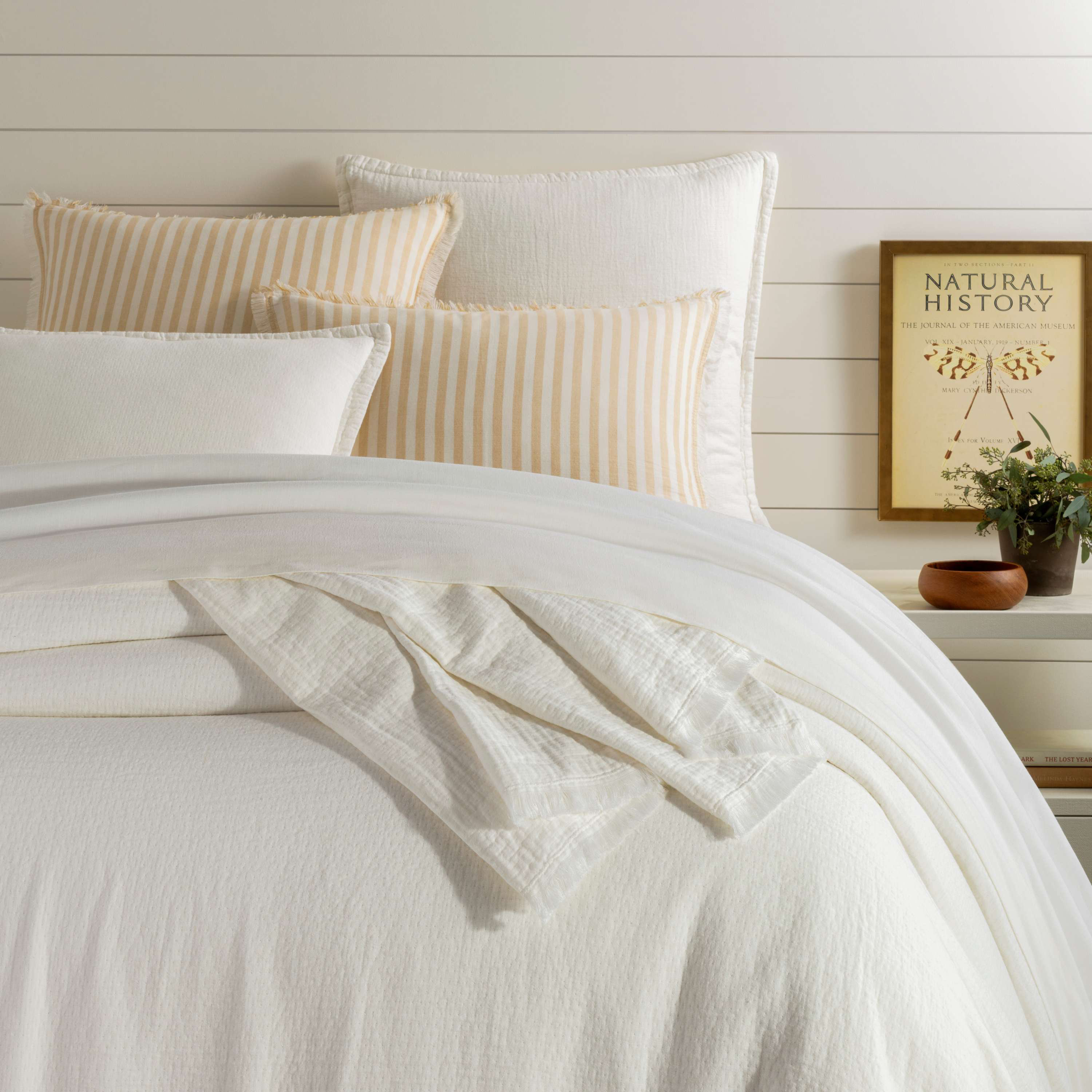Pine Cone Hill La Jolla Ivory Coverlet | Wayfair