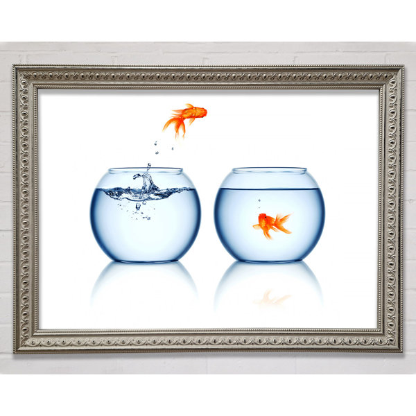 Highland Dunes Silverfish Love Framed Print | Wayfair.co.uk