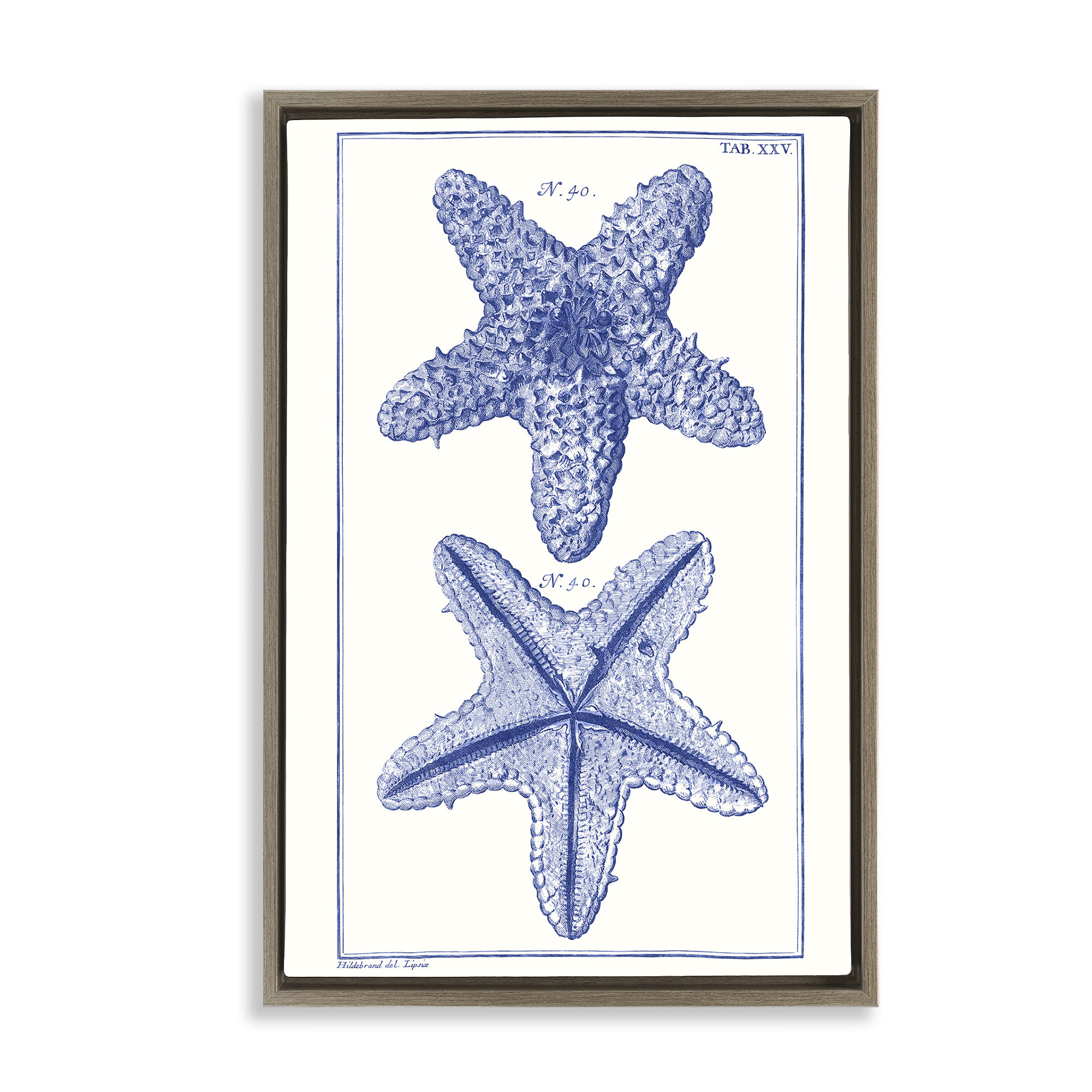 Beachcrest Home™ Blue Starfish Studies Framed Floater Canvas by Vision ...