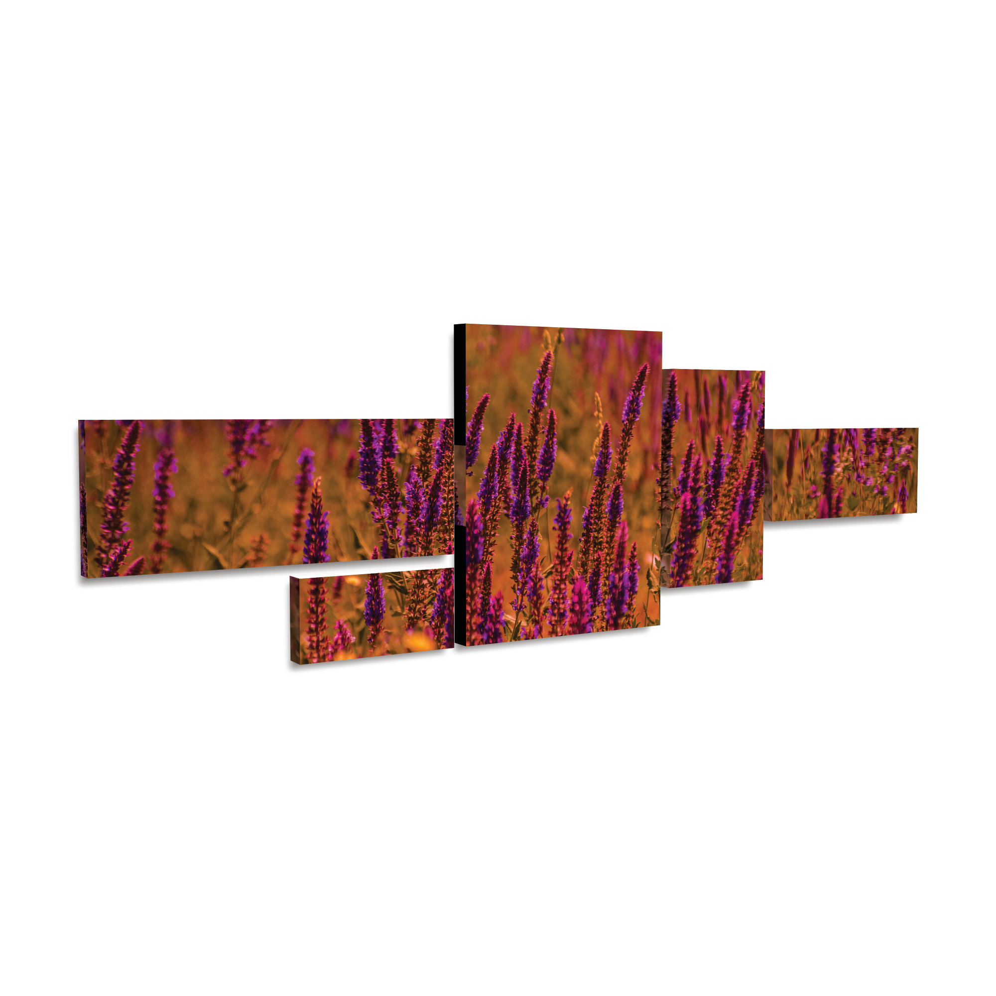 Red Barrel Studio® Ali Heidari Violets 5 Piece Panel Set Art - Wayfair ...