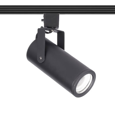 WAC Lighting Silo LED Adjustable Track Head & Reviews | Wayfair