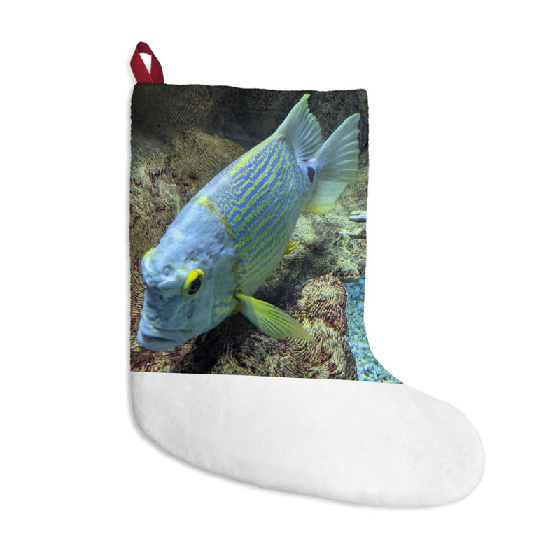 The Holiday Aisle® Fish Stocking | Wayfair