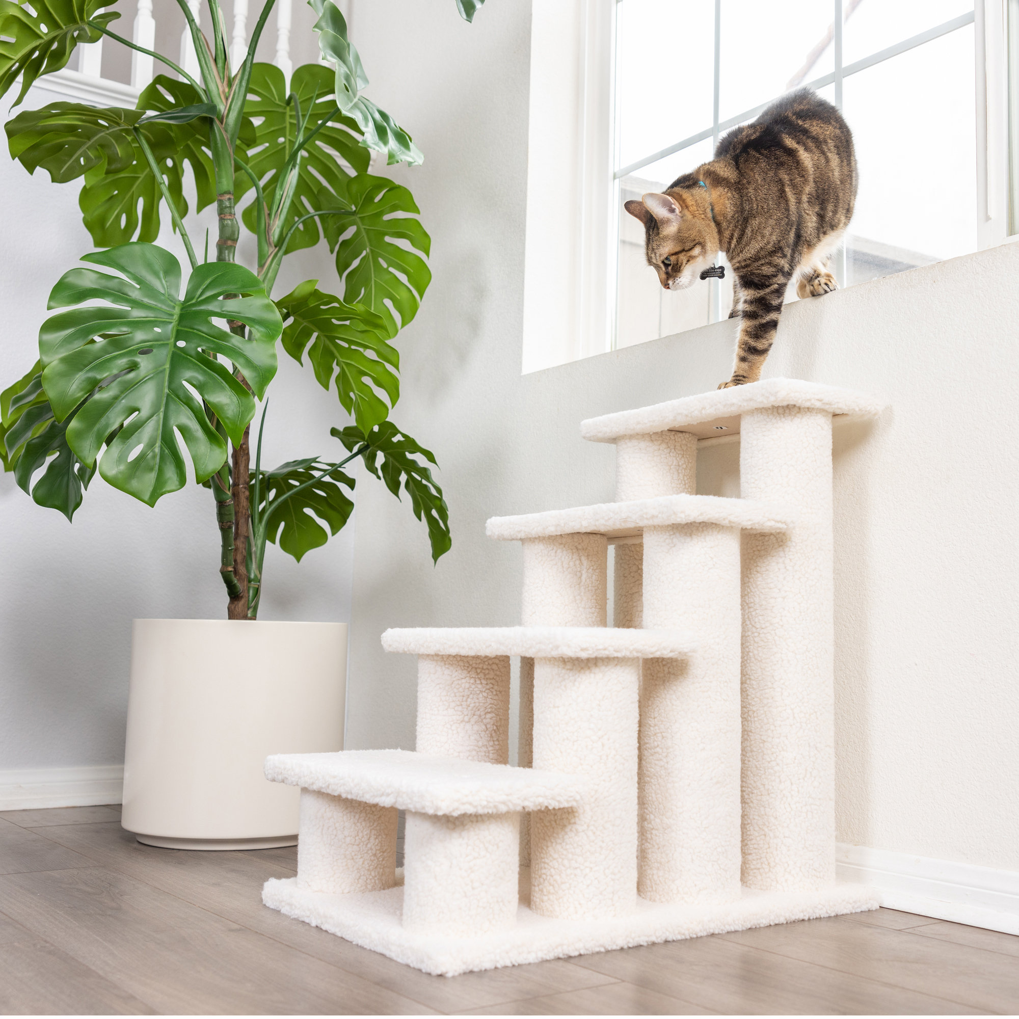 Armarkat 25" Cat Tree & Reviews - Wayfair Canada