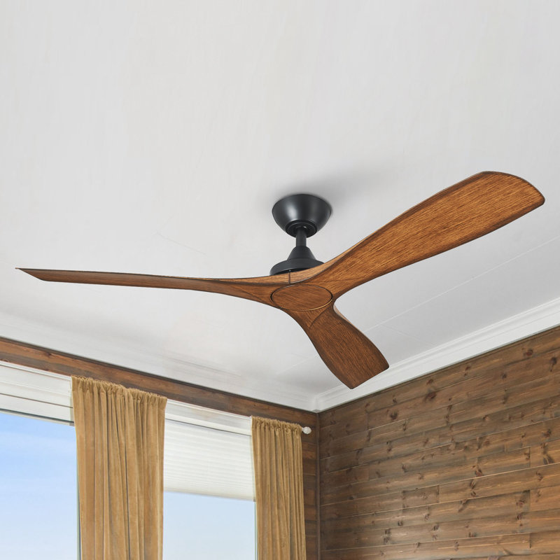 Wade Logan® Catlaina 52" 3 - Blade Propeller Ceiling Fan without Lights ...