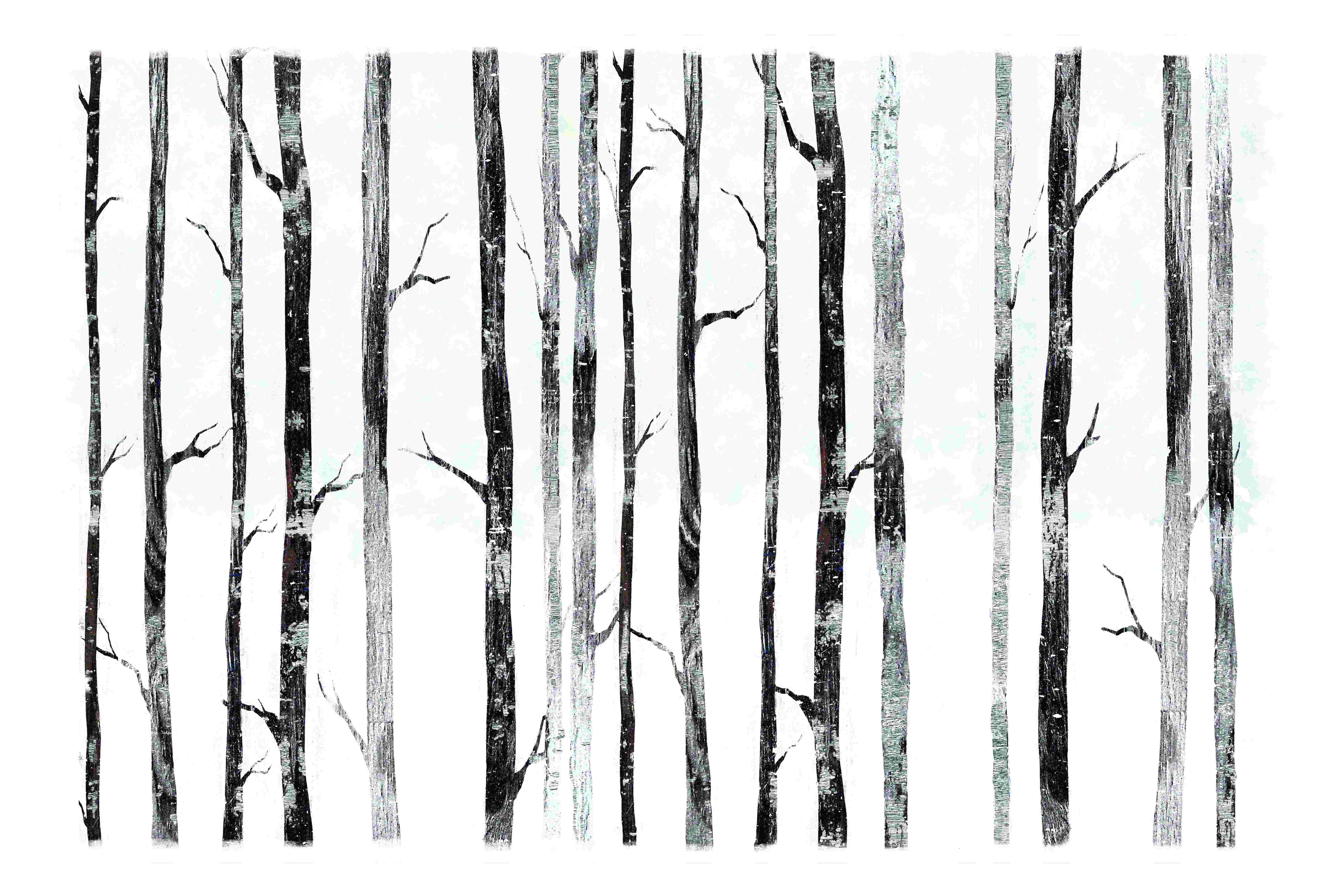 Millwood Pines Silver Birch Trees - Wayfair Canada