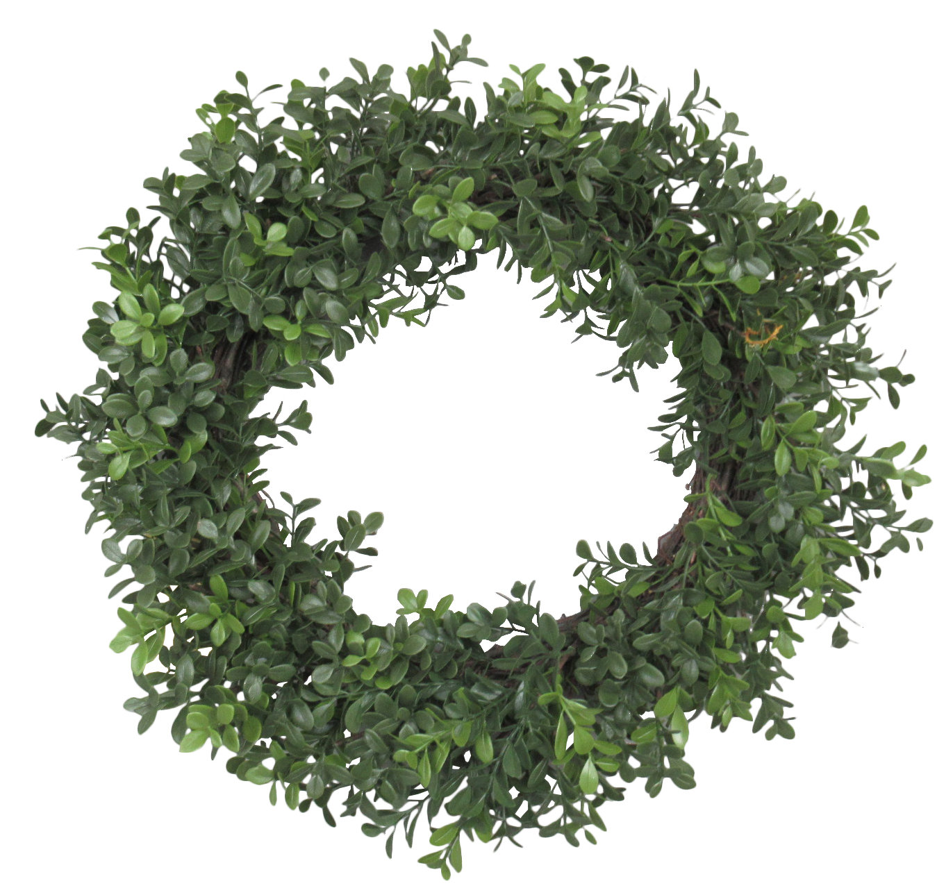 Charlton Home® 20" Plastic Wreath | Wayfair