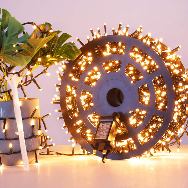 The Seasonal Aisle Iselin LED Mini String Light | Wayfair.co.uk