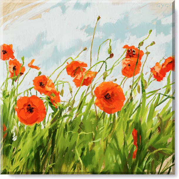 Darren Gygi Home Collection Daisy Field by Darren Gygi - Wrapped Canvas ...