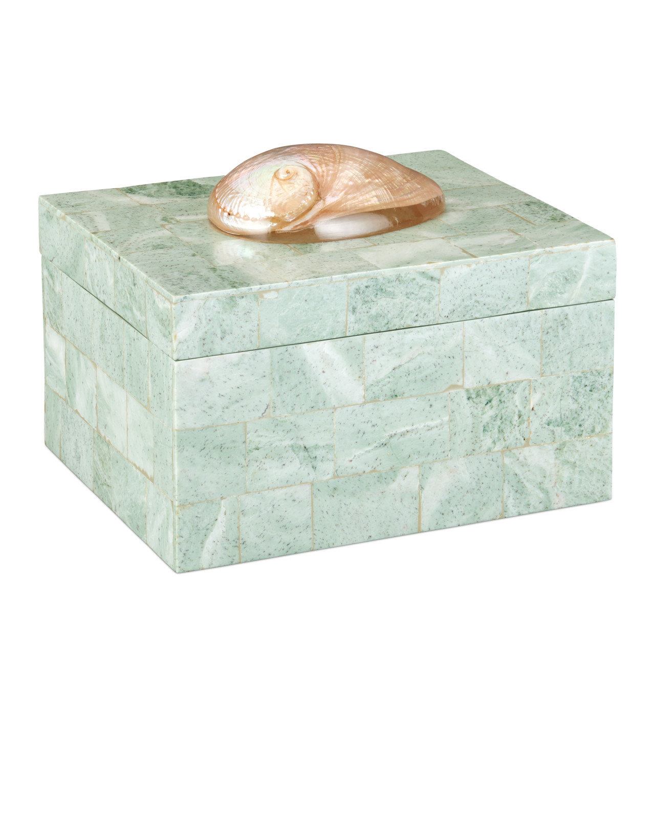 Currey & Company Fiona Box | Perigold
