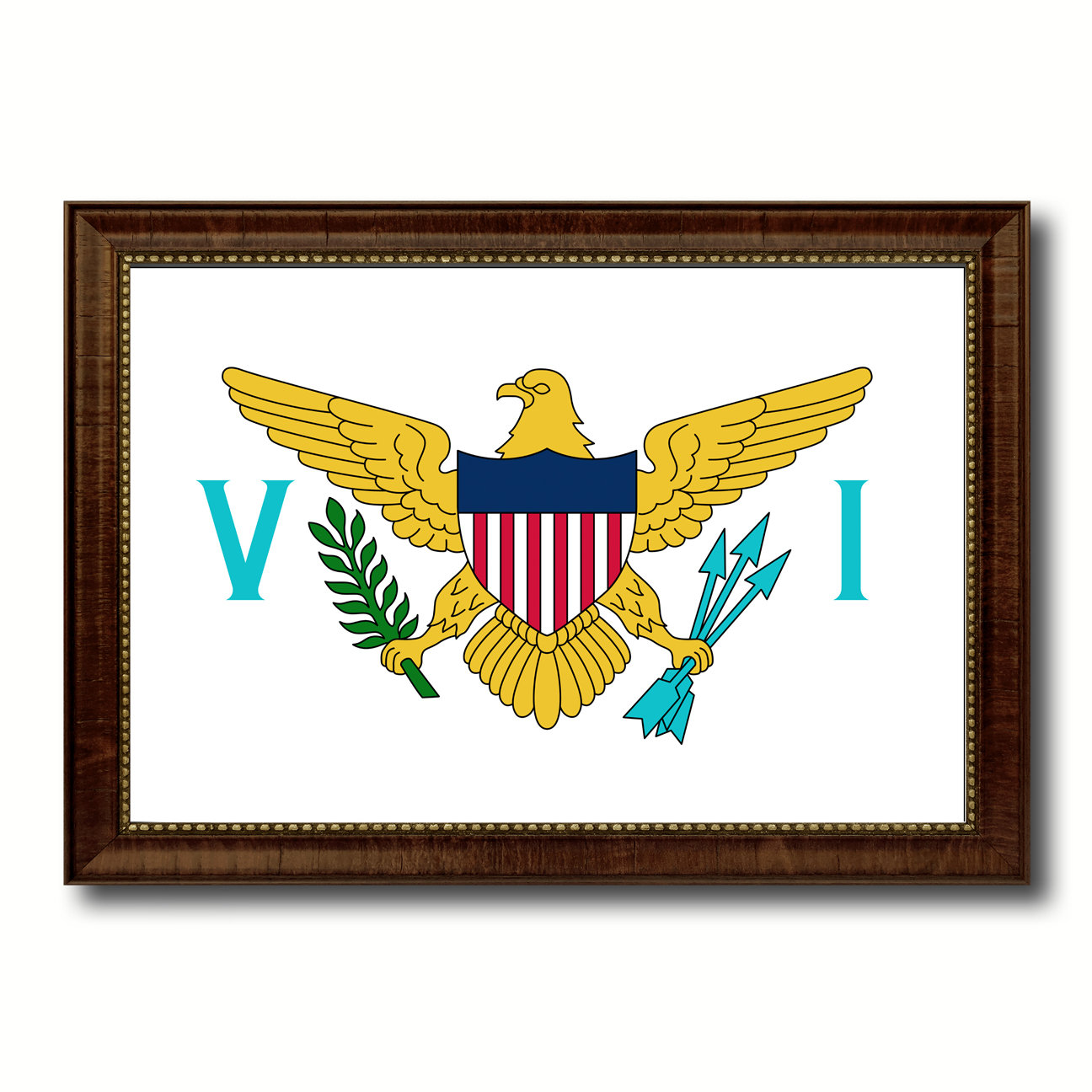 Spot Color Art 'Virgin Islands Country Flag' Framed Graphic Art Print ...