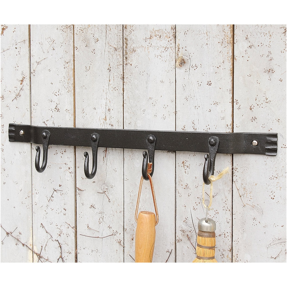 Gracie Oaks Noonkester Four Hook Wall Bracket & Reviews | Wayfair