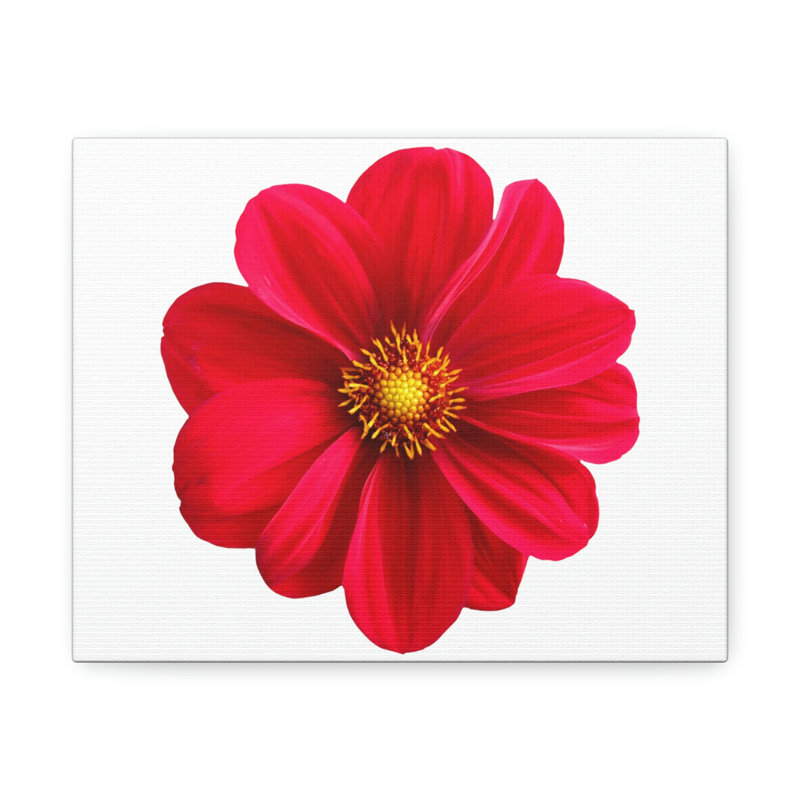 Red Barrel Studio® Red Flower - Unframed Illustration on Canvas | Wayfair