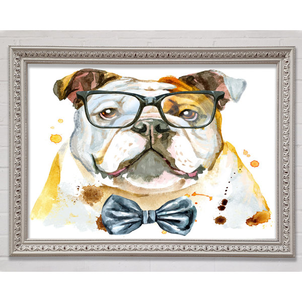 Bright Star The Bulldog With Glasses - Single Picture Frame Print ...