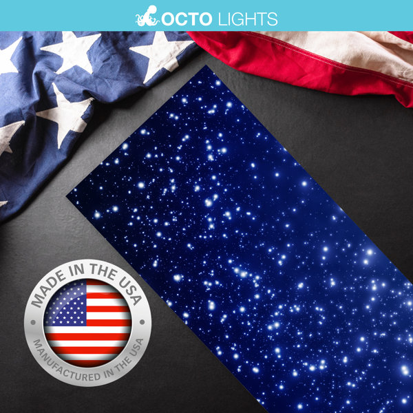 Octo Lights Astronomy - Magnetic Fluorescent Light Cover for Ceiling ...