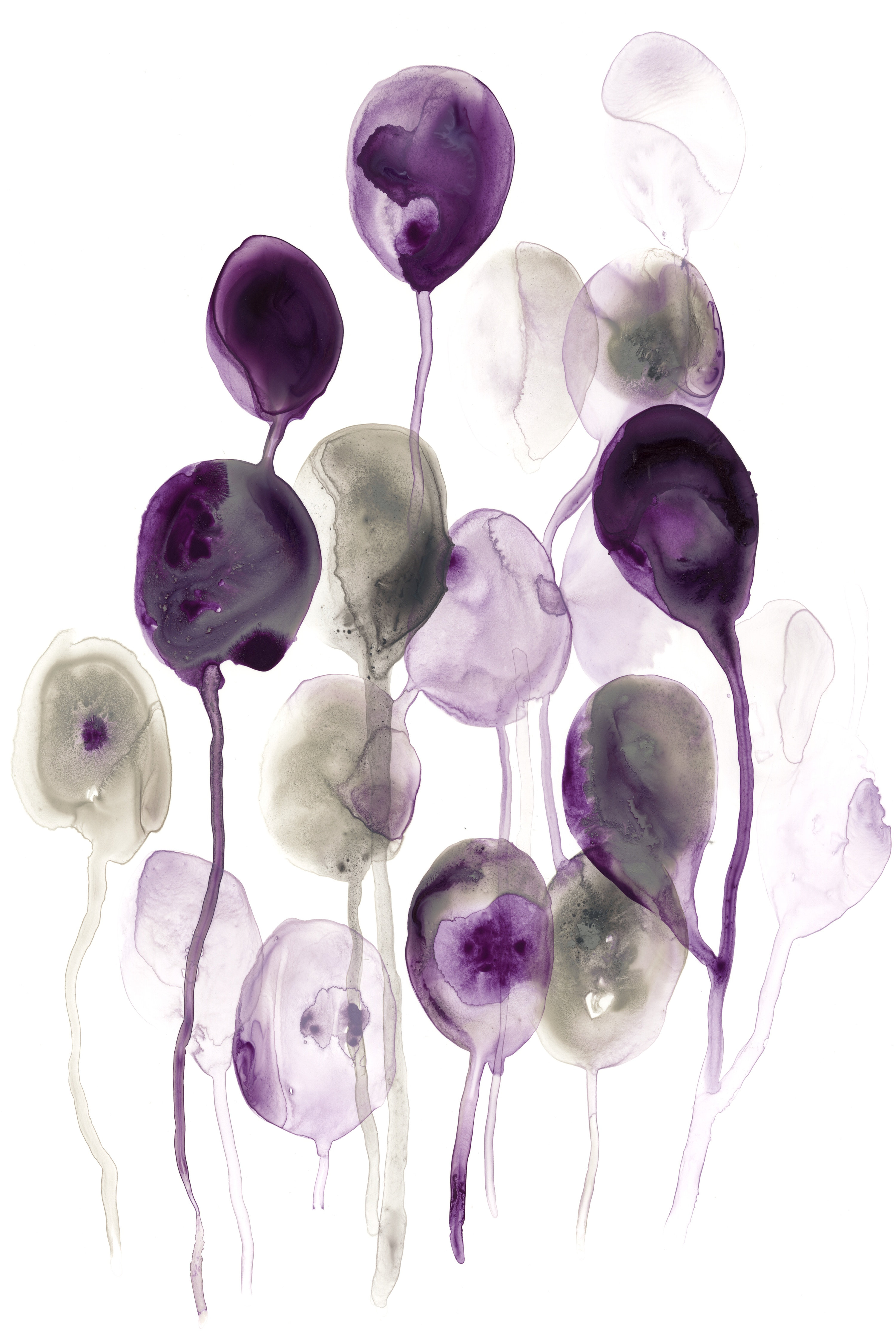 Marlow Home Co. Plum Pods I by June Erica Vess - Wrapped Canvas Art ...