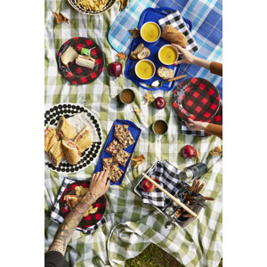 Loon Peak® Outten Vintage Lodge Buffalo Check 10.5" Melamine Dinner ...