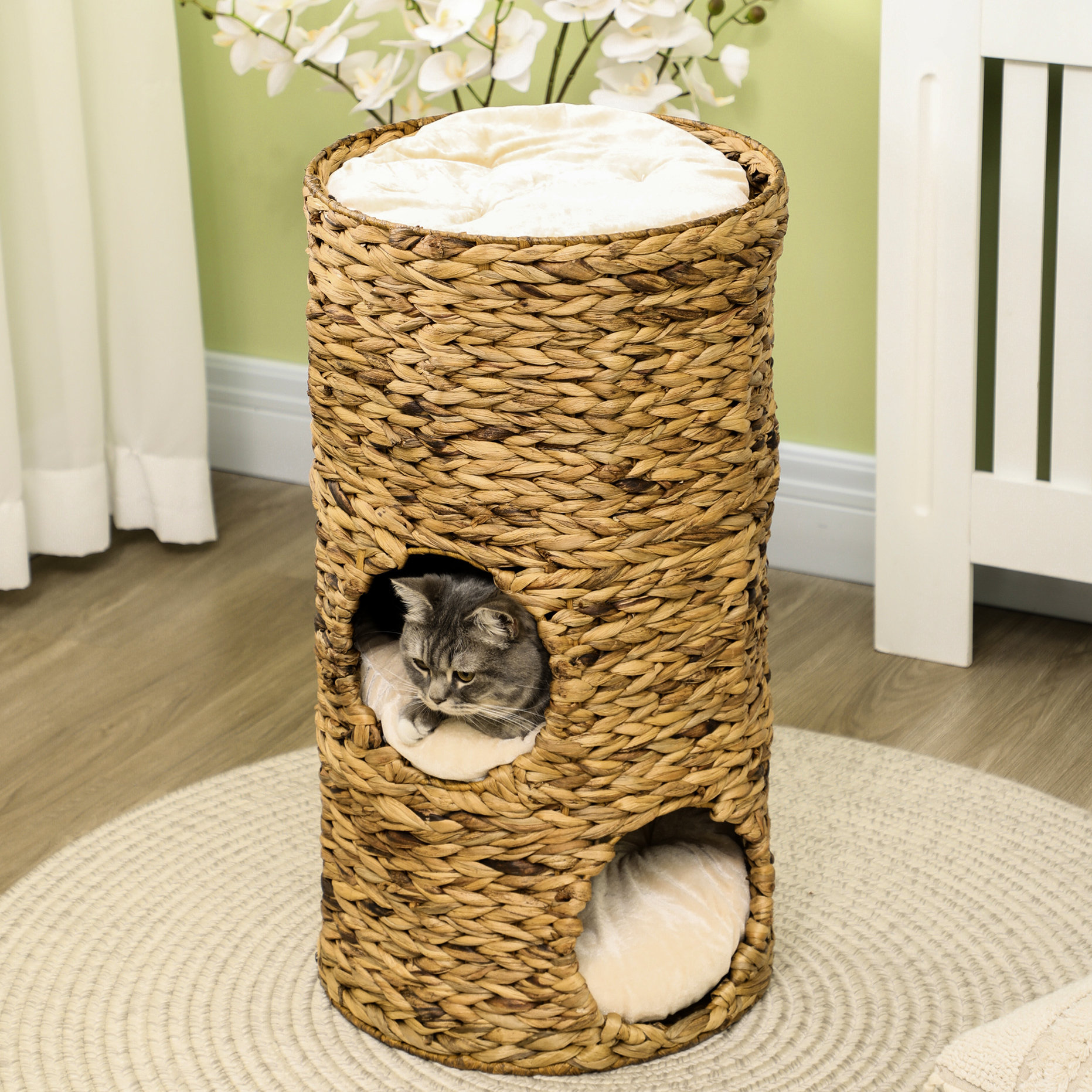 Tucker Murphy Pet™ Elevated Cat Bed With Three Hidden Spots & Four Beds ...