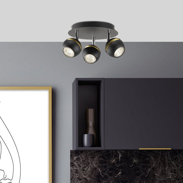 Ebern Designs Debro Ceiling Spotlight | Wayfair.co.uk