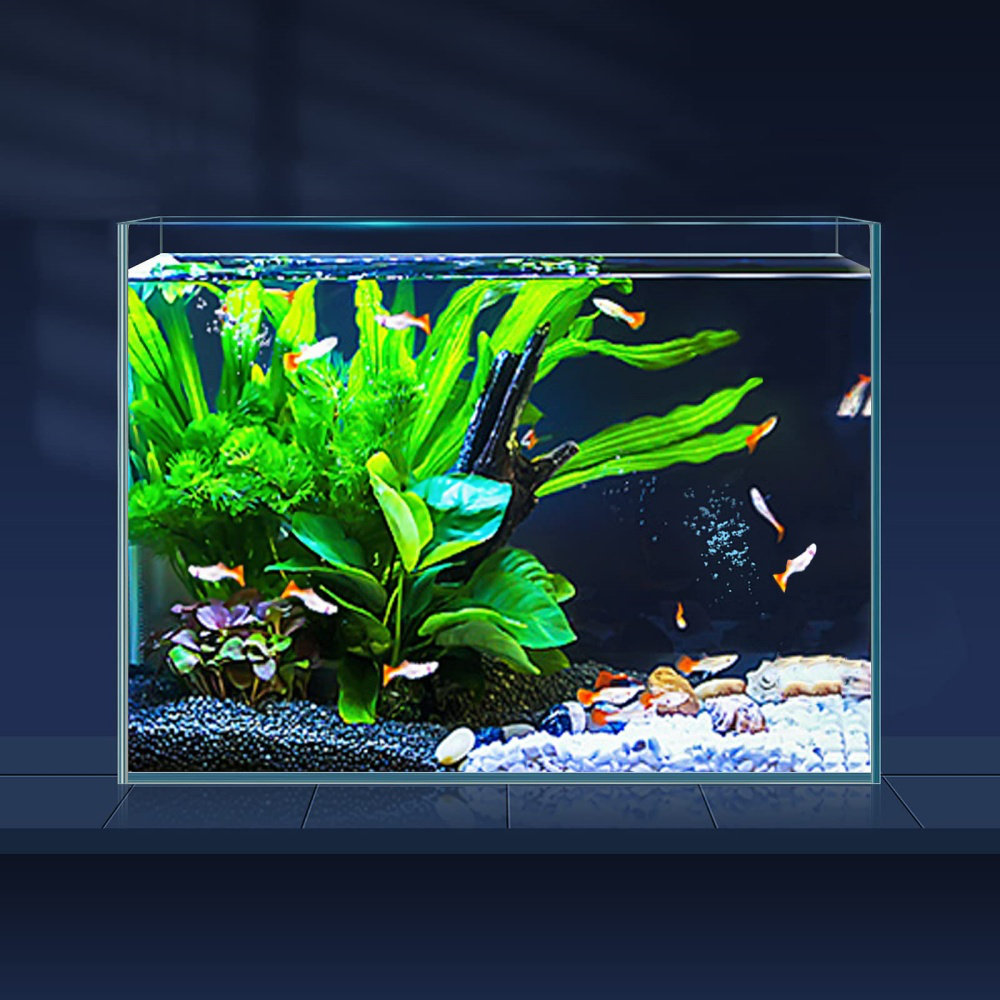 Latitude Run® Super clear glass fish tank, frameless low iron aquarium ...