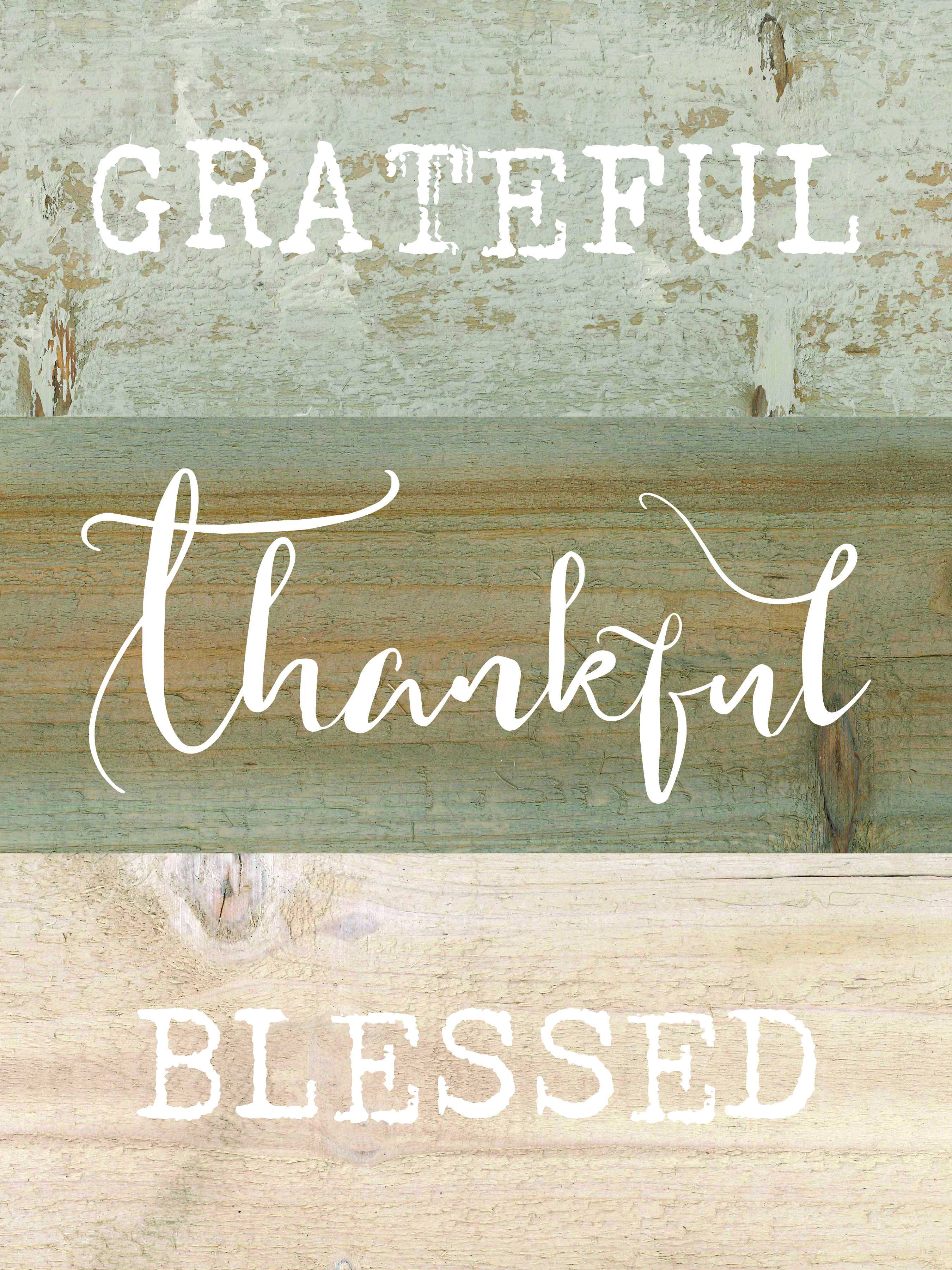 Trinx Grateful Thankful Blessed - Wayfair Canada