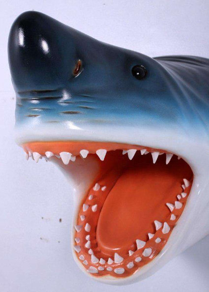 Rosecliff Heights Camaree Great White Shark Head Statue | Wayfair