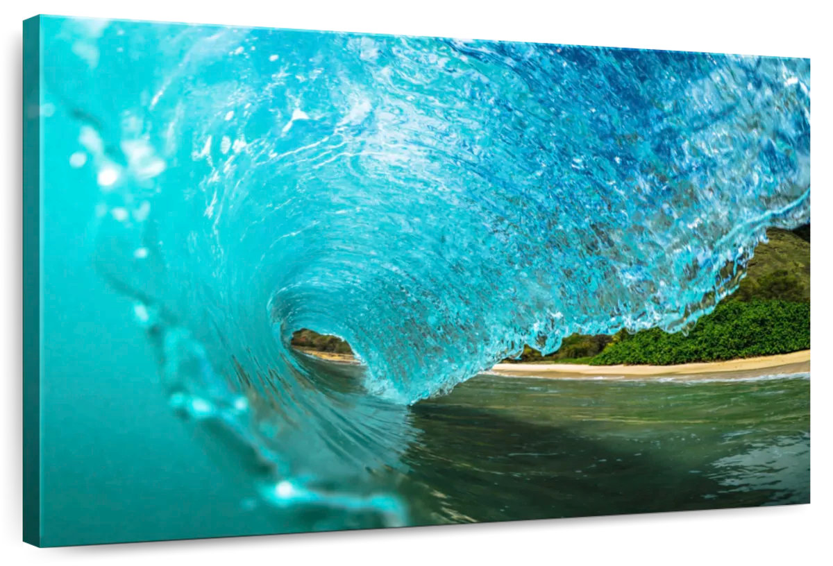 Elephant Stock Cool Blue Wave | Wayfair