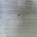 Kelly Clarkson Home Liebert Solid Semi-Sheer Tab Top Curtain Panel ...