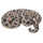 Hi-Line Gift Ltd. CURLED UP PYTHON STATUE | Wayfair