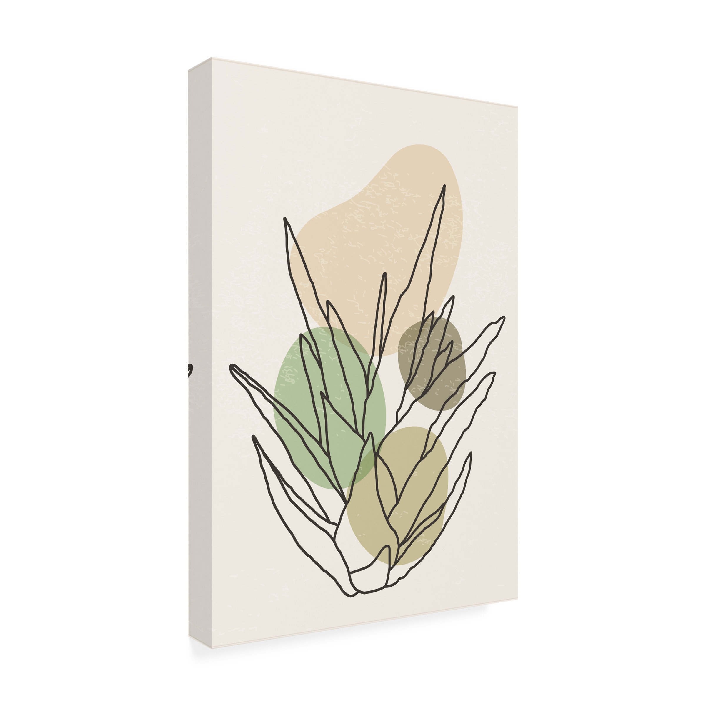 George Oliver Jay Stanley Color Abstract Agave 1 | Wayfair