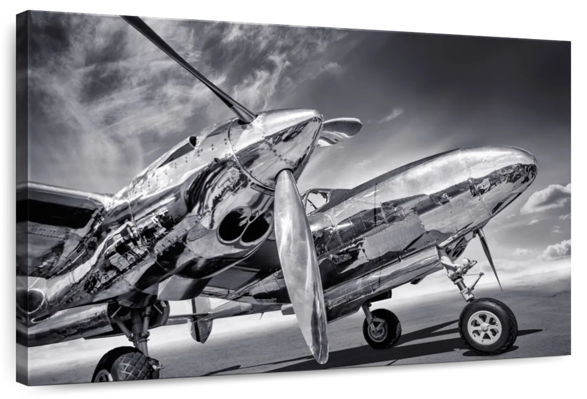 Ebern Designs Mehar Monochrome Silver Plane | Wayfair
