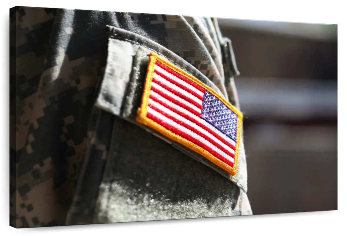 Elephant Stock Military Flag Patch | Wayfair