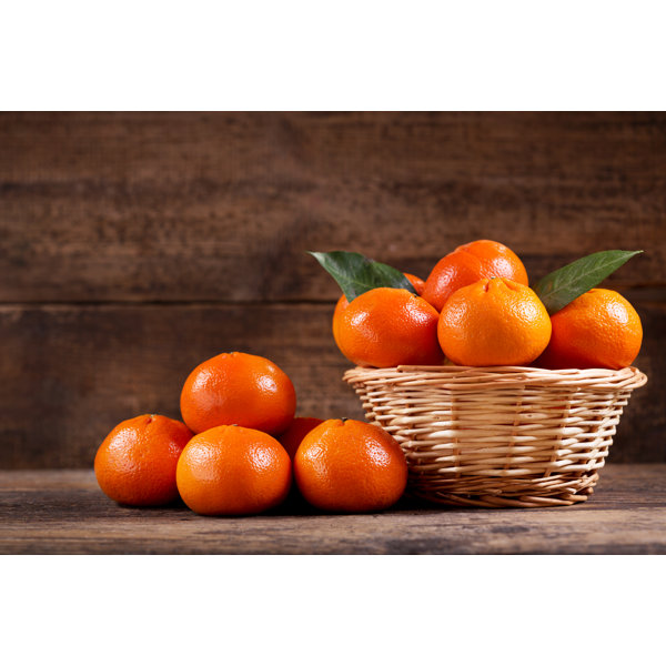 17 Stories Mandarin Oranges by Nitrub - Wrapped Canvas Print | Wayfair ...