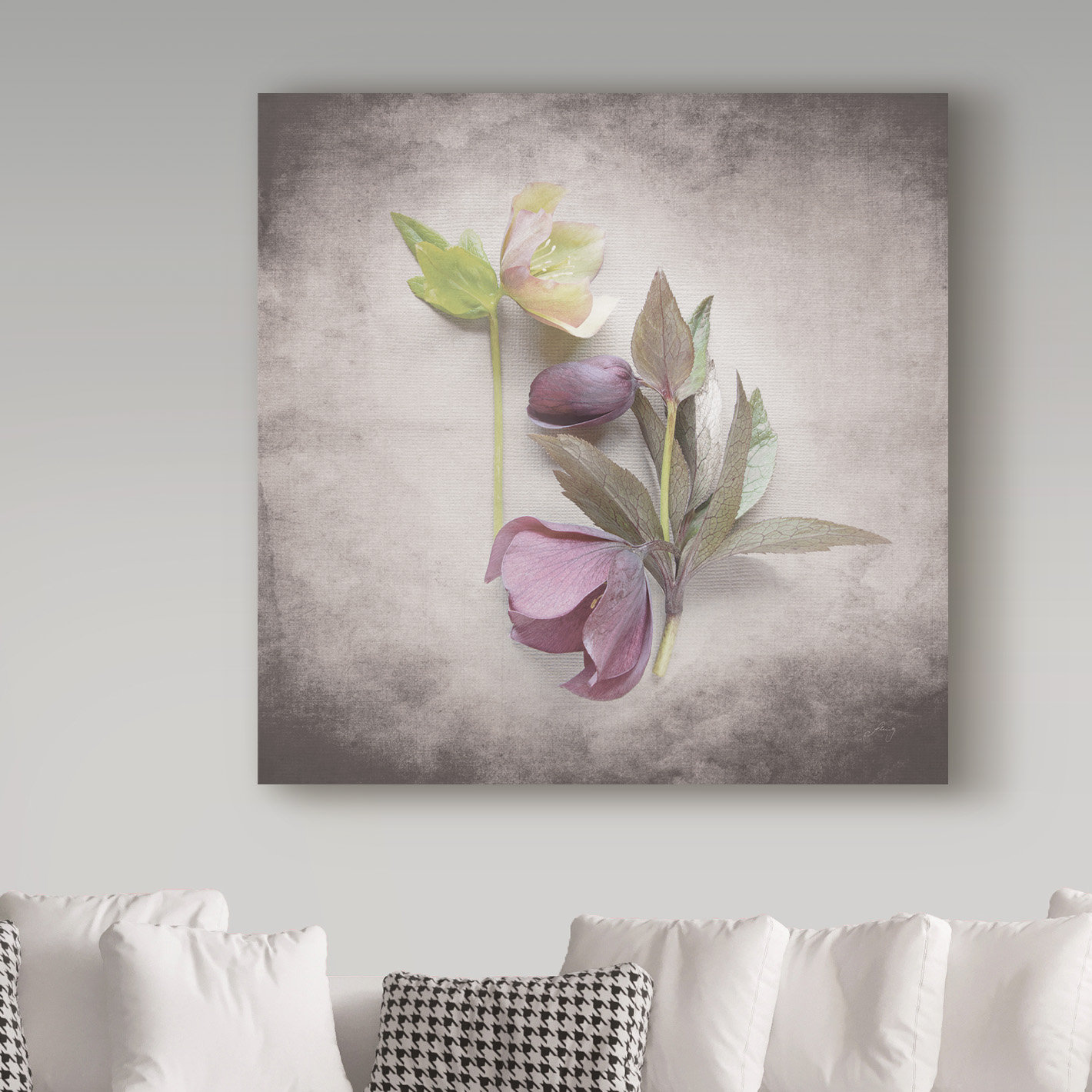 Ebern Designs Kernell Vintage Hellebore Study VII' Photographic Print ...