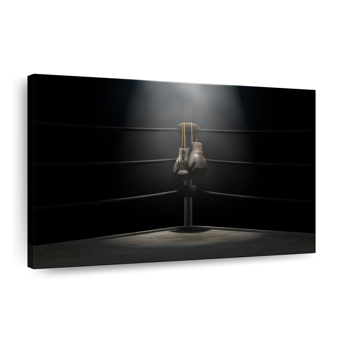 Ebern Designs Boxing Boxing Corner Gloves On Canvas Print | Wayfair