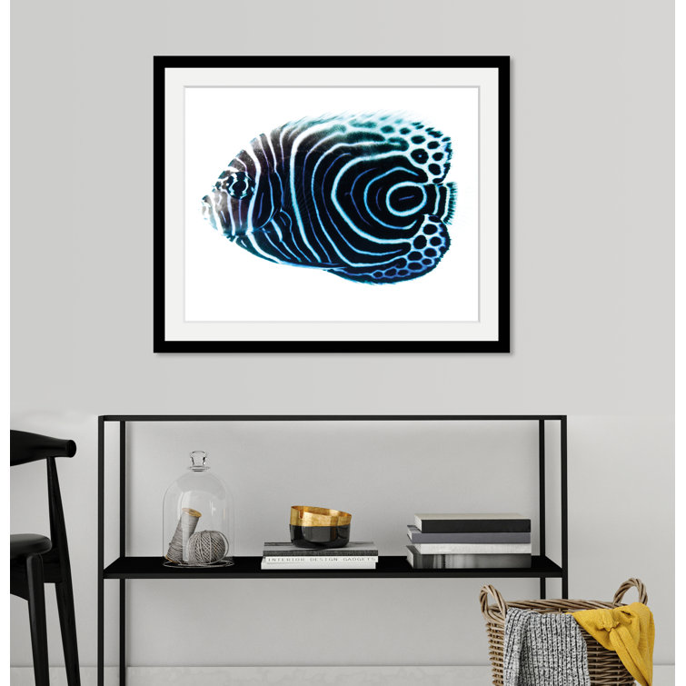 Ebern Designs Shell - Single Picture Frame Art Prints | Wayfair.co.uk