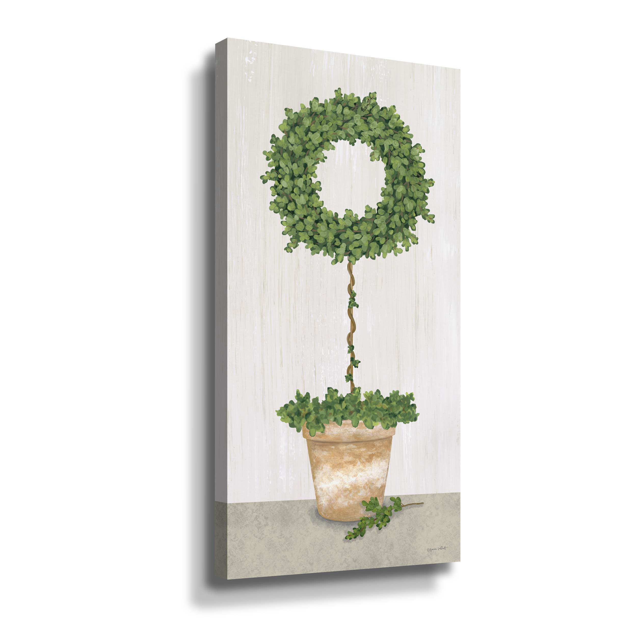 Winston Porter Boxwood Wreath Topiary - Graphic Art on Canvas | Wayfair