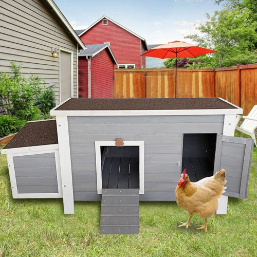 Tucker Murphy Pet™ Cerine 10.65 sq ft Chicken Coop with Nesting Box ...
