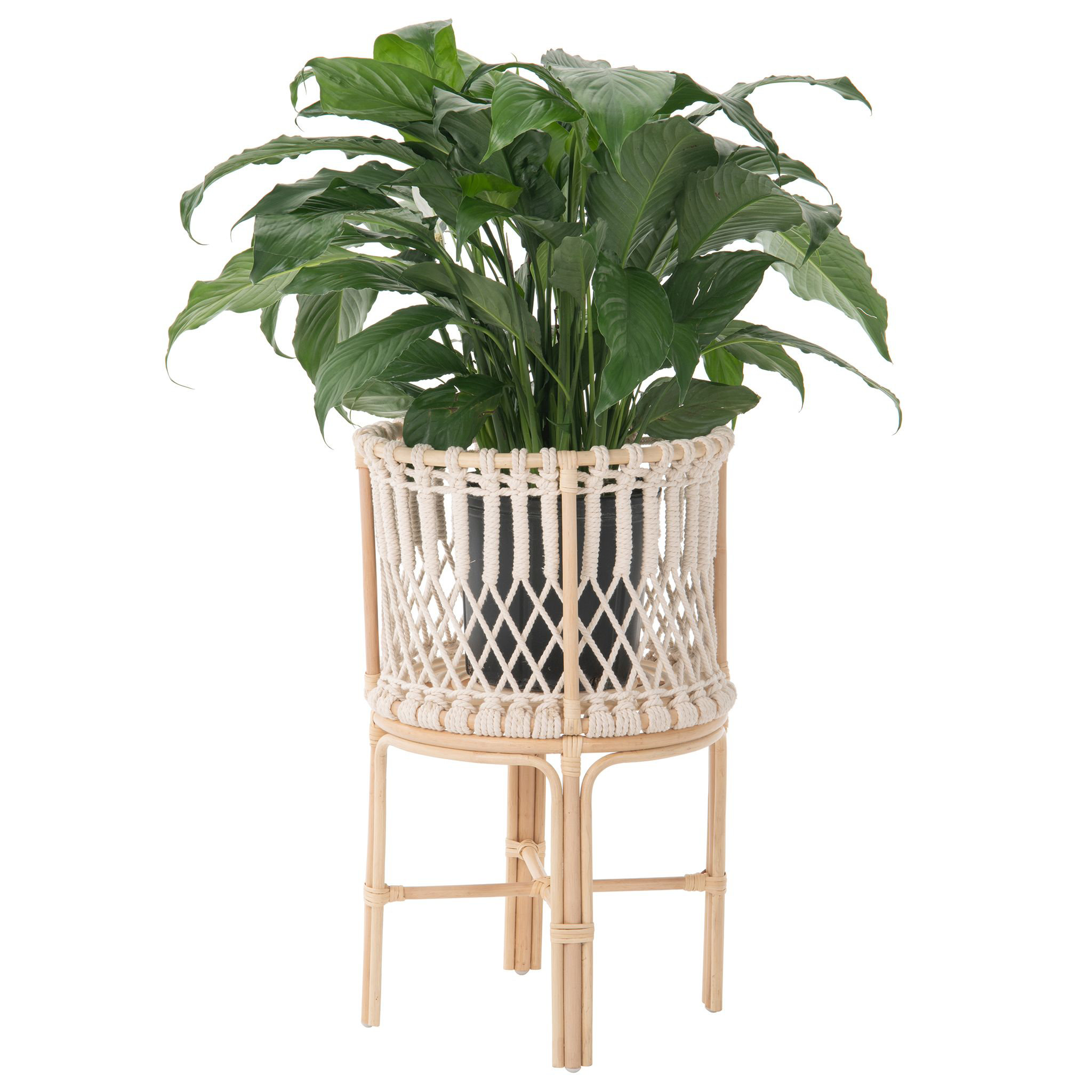 Bayou Breeze Behrad Plant Stand | Wayfair
