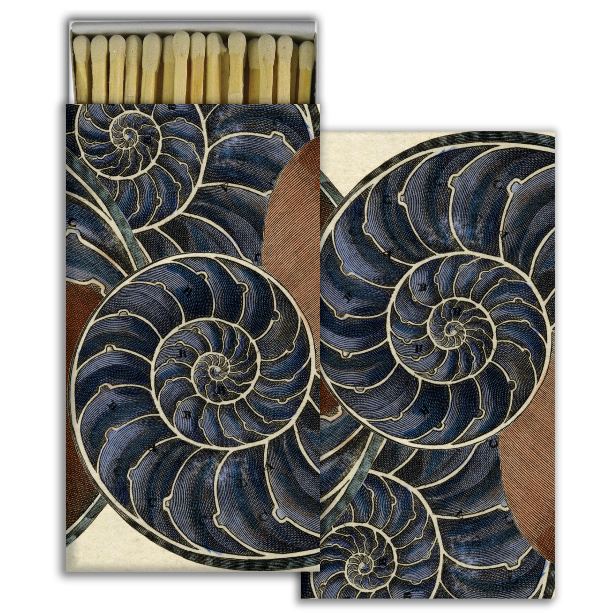 HomArt Matches - Nautilus | Wayfair