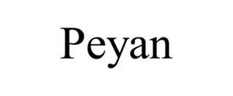 Peyan | Wayfair