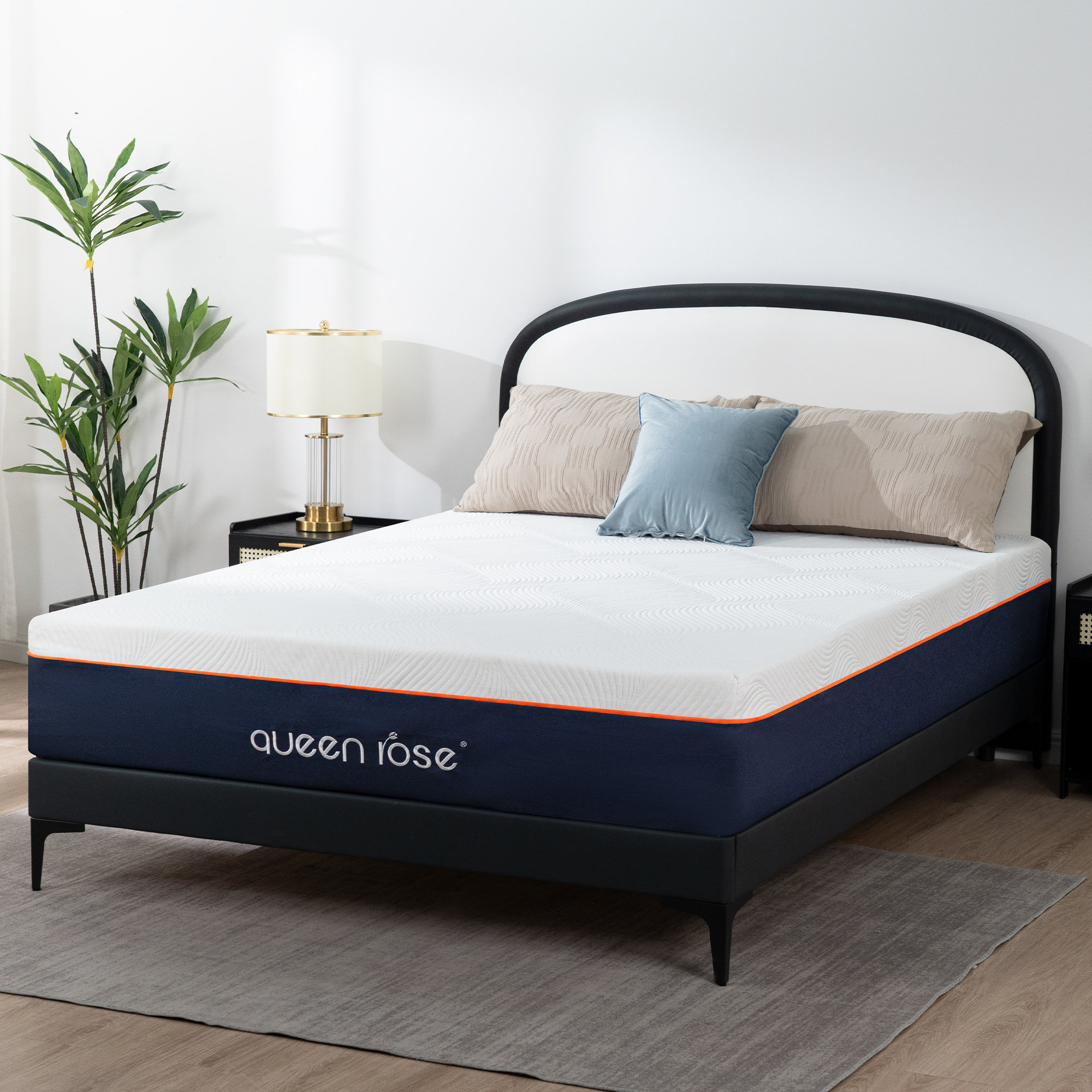 Alwyn Home Queen Rose 12'' Medium Firm Memory Foam Mattress in a Box ...