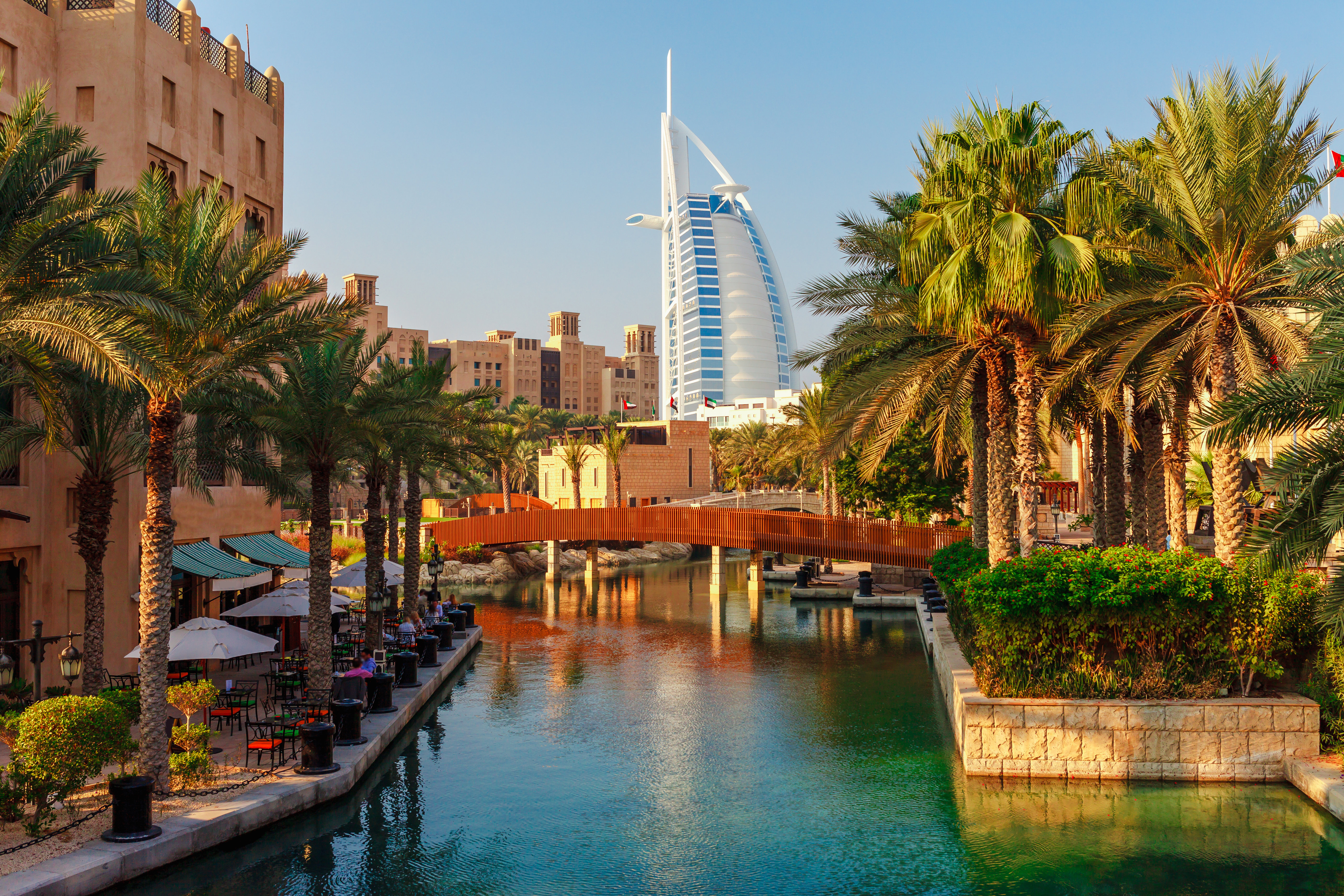 17 Stories Palm Trees in Dubai by Oleg_P - Wrapped Canvas Photograph ...