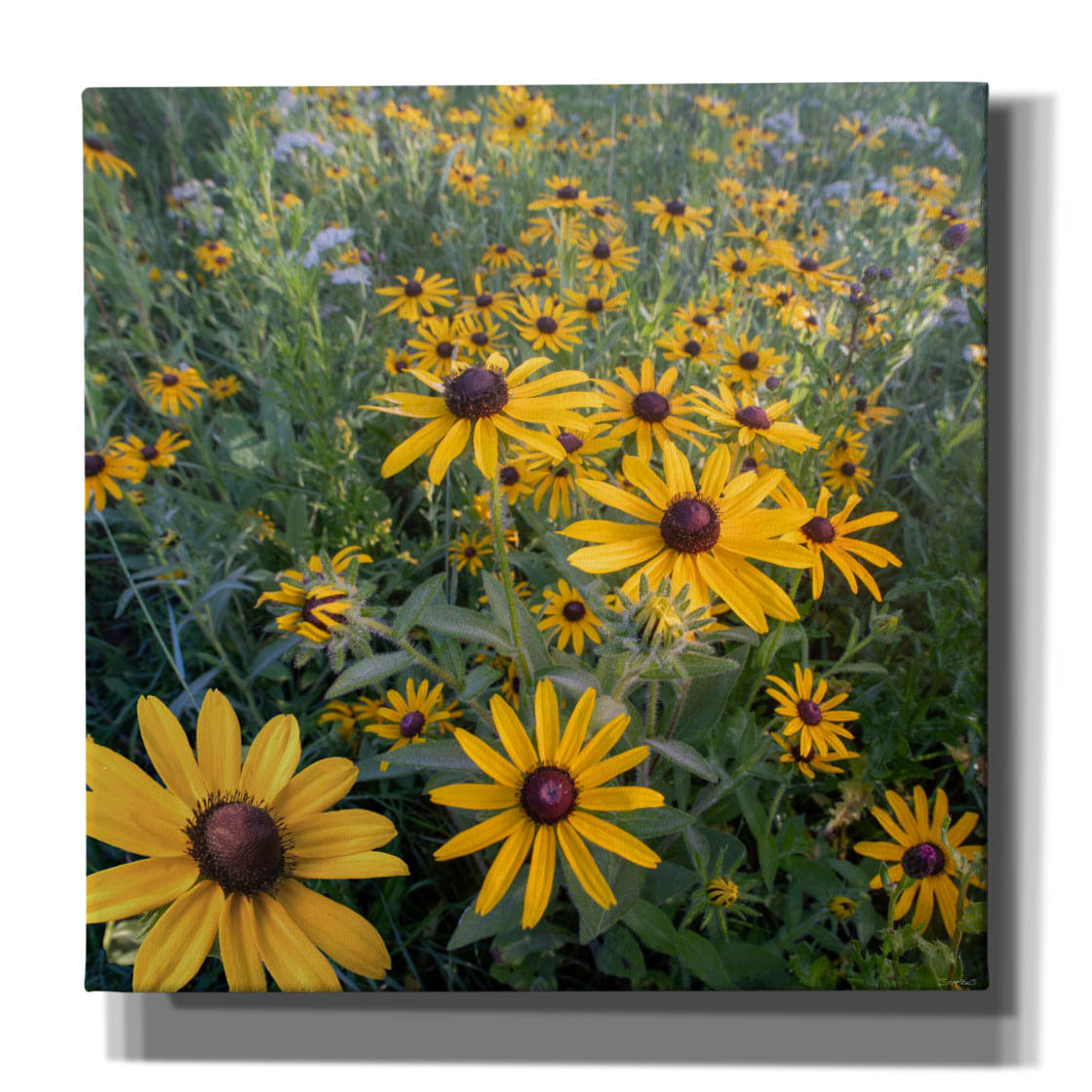 August Grove® " Red River Of The North 11 " by Gordon Semmens | Wayfair