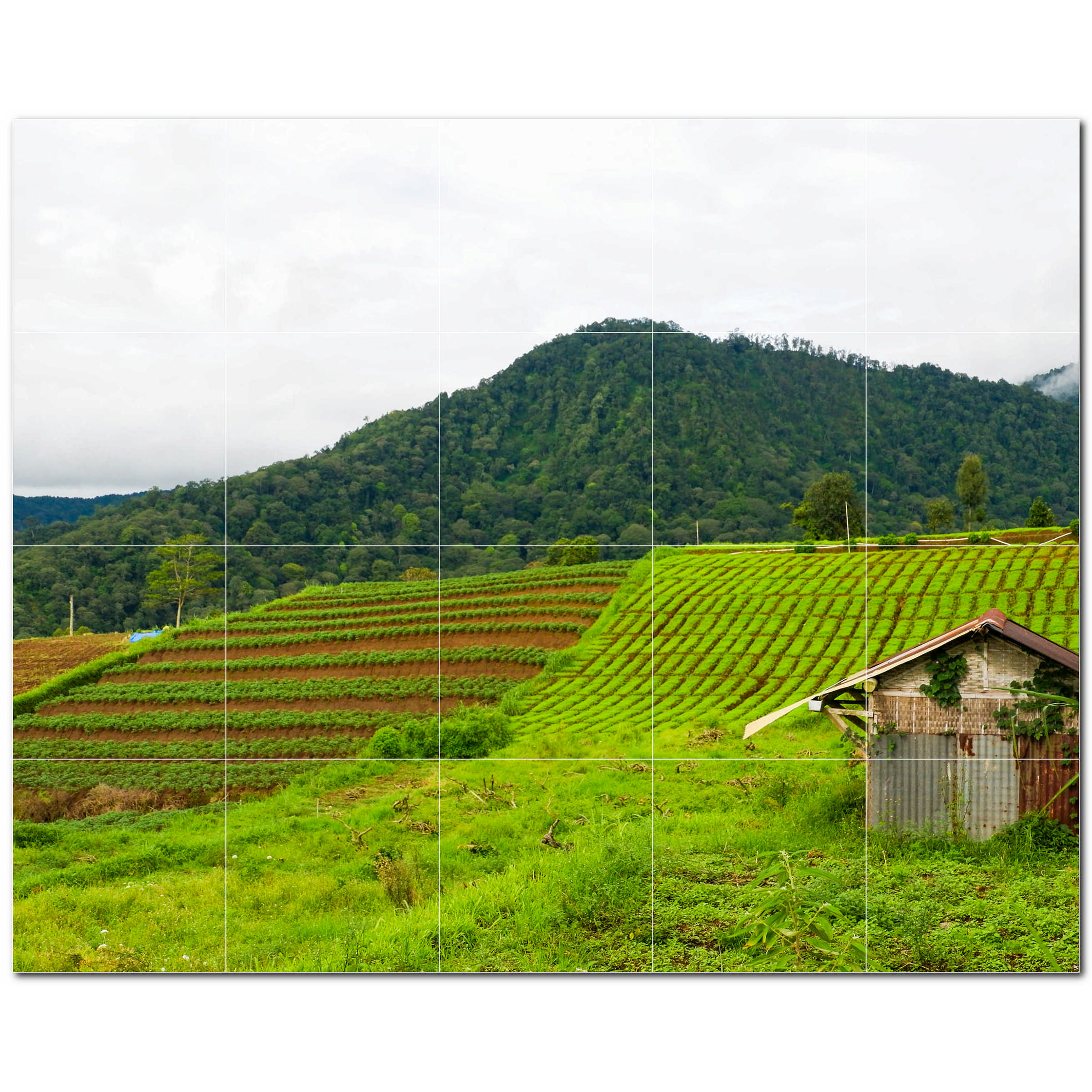 Picture-Tiles.com 32" x 48" Ceramic Farm Photo Decorative Mural Tile ...
