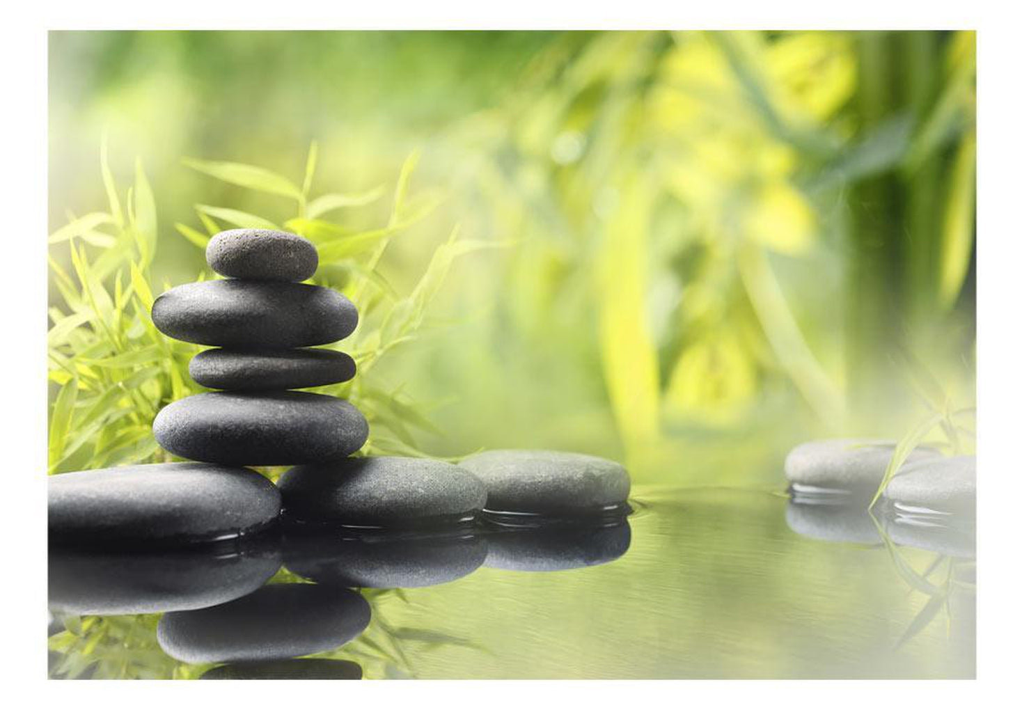 Latitude Run® Zen Wallpaper Wall Mural - Serenity Of Nature - Wayfair ...