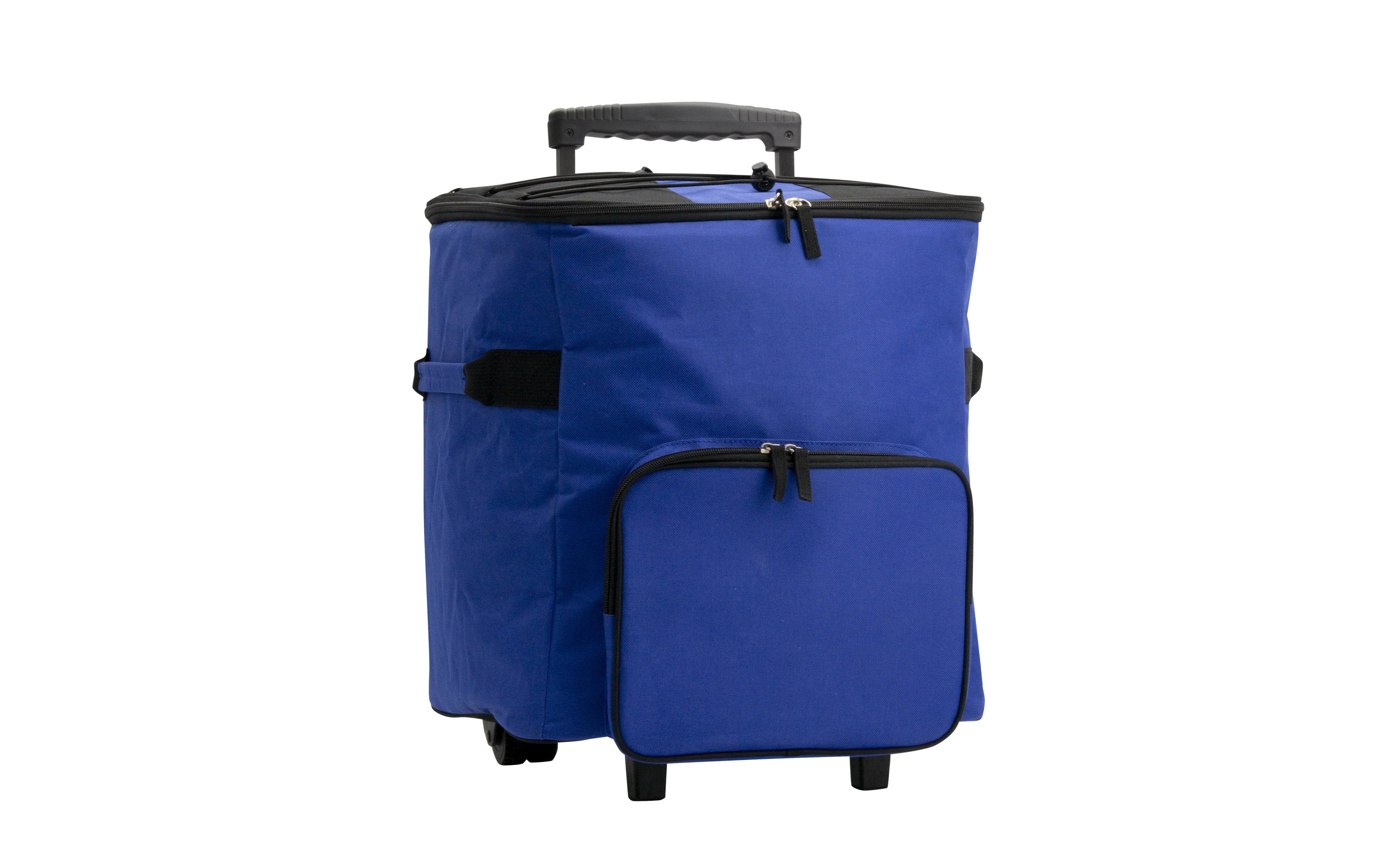 Arlmont & Co. Insulated Picnic Cooler | Wayfair