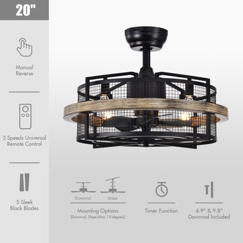 Trent Austin Design® Rishel 20'' Ceiling Fan with Light Kit & Reviews ...